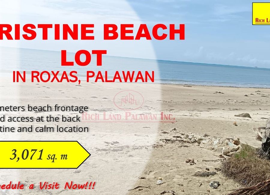 Pristine Beach Lot Property in Roxas, Palawan with 50 Meters Beach ...