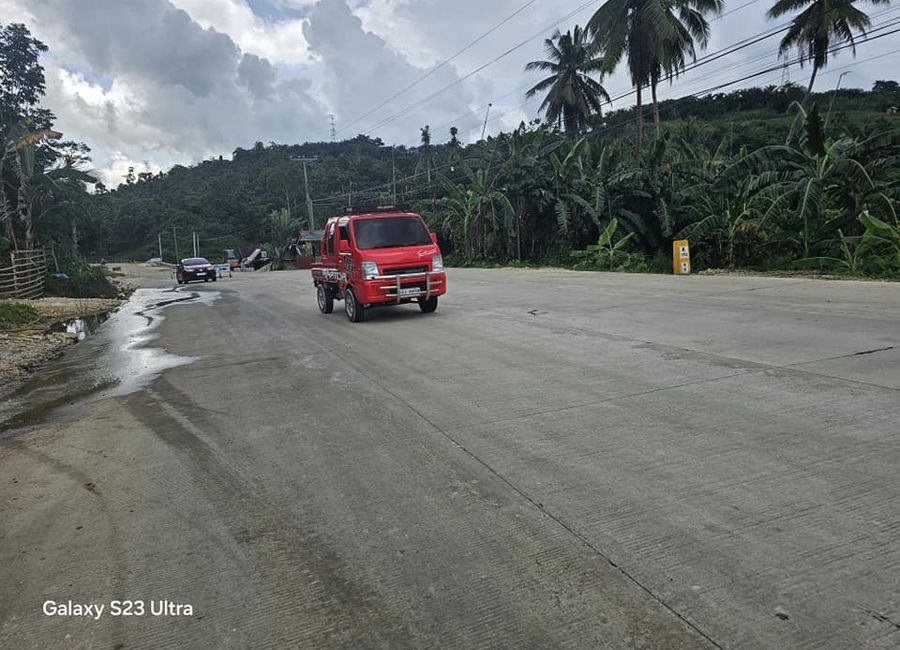 Bohol highway lot for sale commercial/residential at Carmen Bohol 300k ...