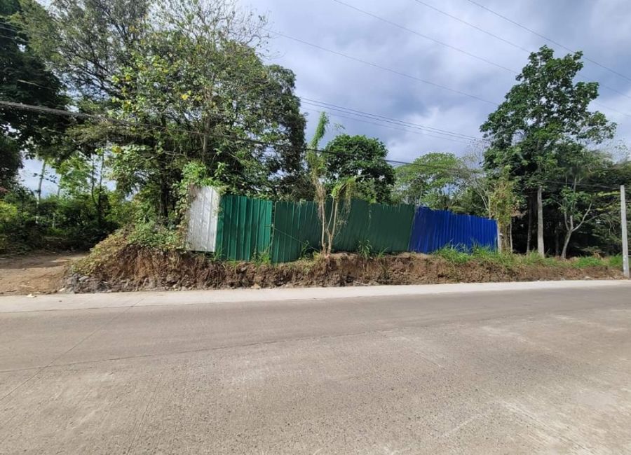 Farm Lot along Magtuod-Calinan Road Davao City | Lamudi.com.mx