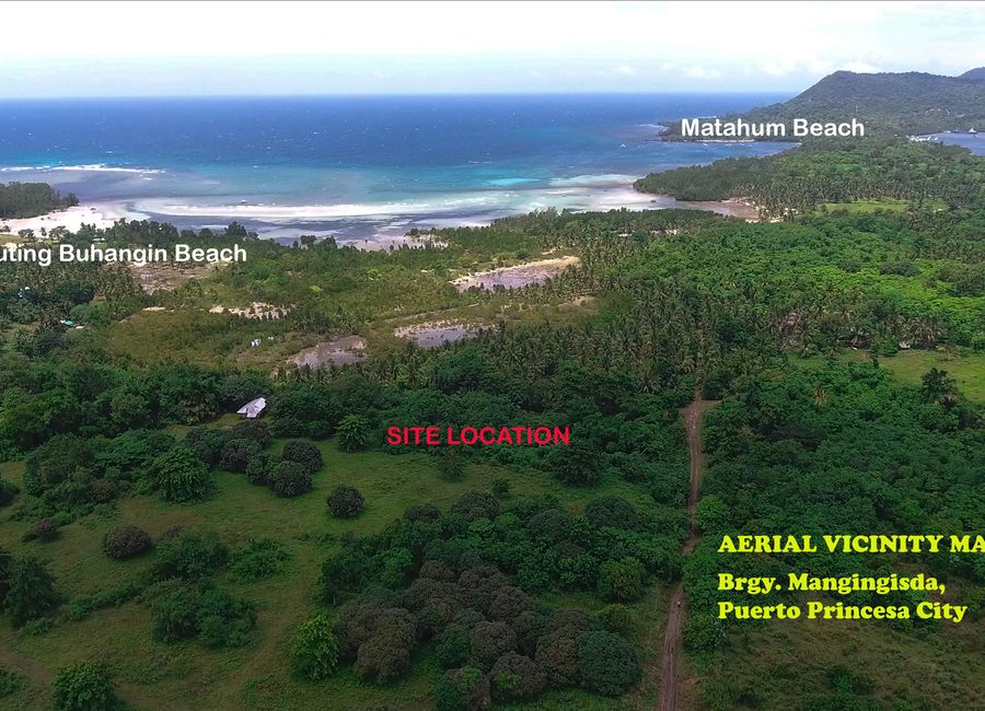 Puerto Princesa Lot Walking Distance to Matahum Beach | Lamudi.com.ph