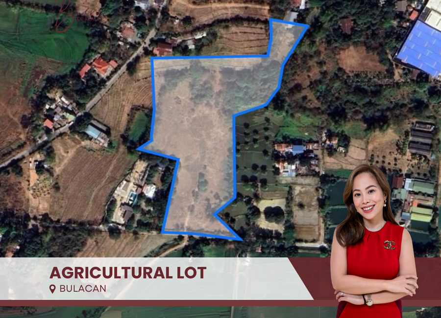 RUSH SALE!!! Agicultural Property Near Balintawak Exit | 17,406 sqm Lot ...