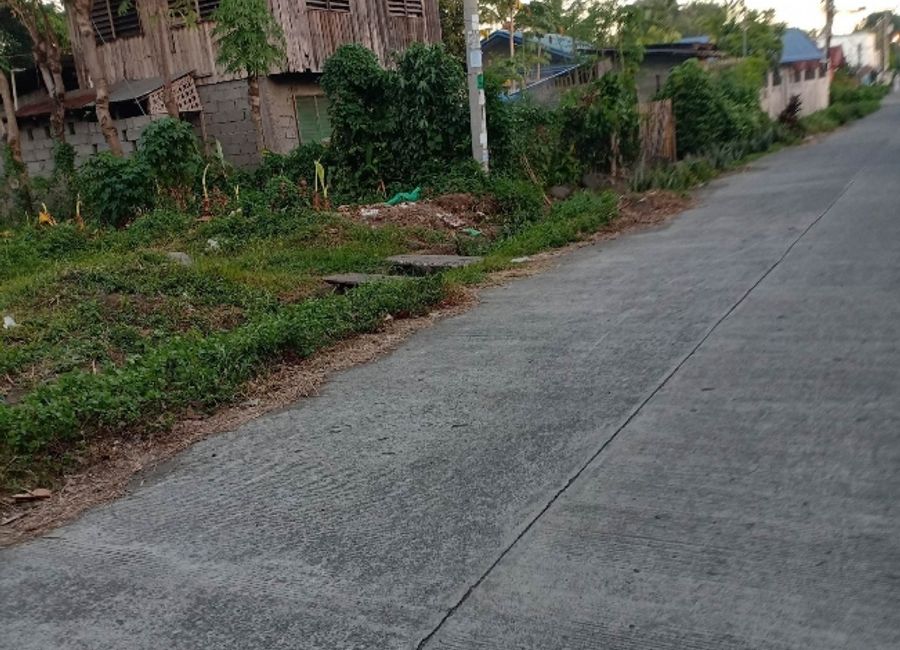 600 sq. meters Residential Lot for Sale Toril, Davao City, Davao del ...