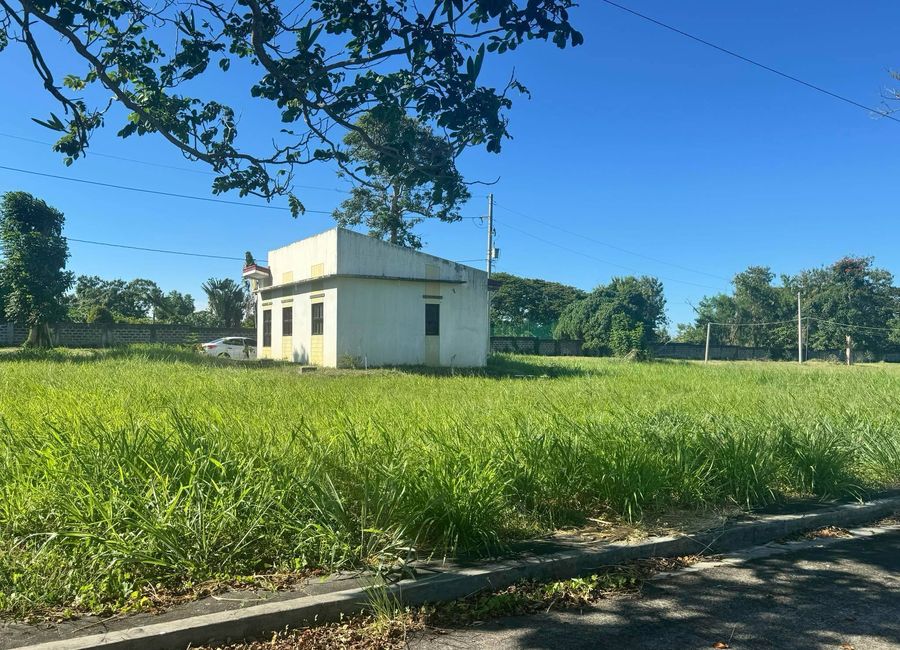 Residential Lot For Sale in Calamba Laguna Morningfields Subdivision SD ...