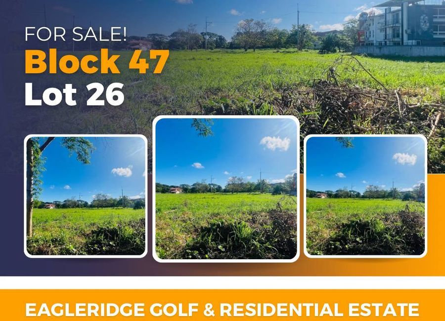 RESIDENTIAL INNER LOT | Lamudi.com.ph