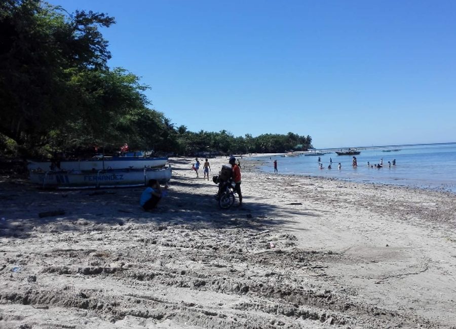 Beach Front Vacant Lot FOR SALE, Brgy. Bolitoc, Santa Cruz, Zambales ...