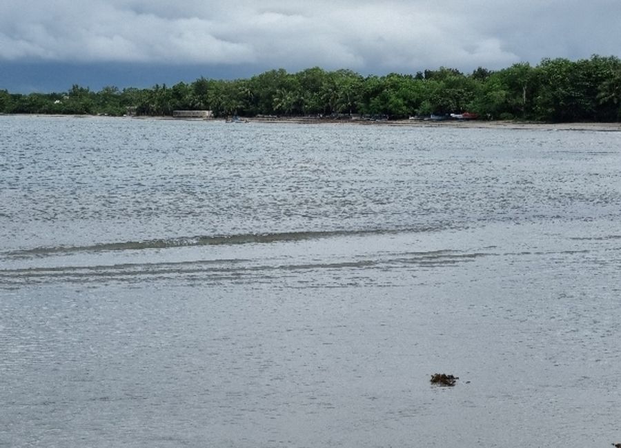 Beach Front Vacant Lot FOR SALE, Brgy. Bolitoc, Santa Cruz, Zambales ...