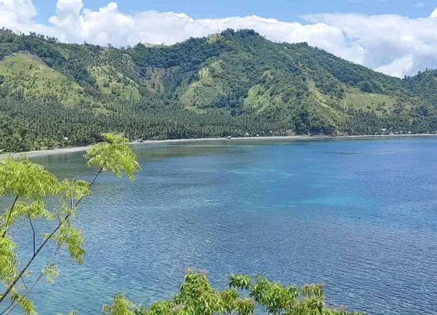 For Sale beach lot in Sta. Maria Davao Occidental | Lamudi.com.ph