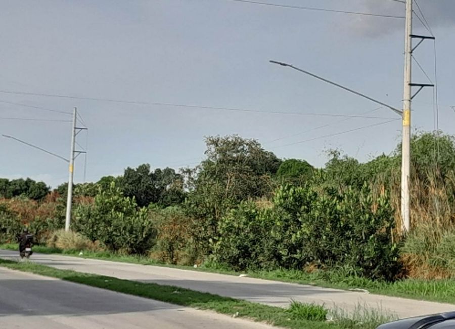 Commercial Lot 2.5 Hectares in Malpitic City of San Fernando, Pampanga ...