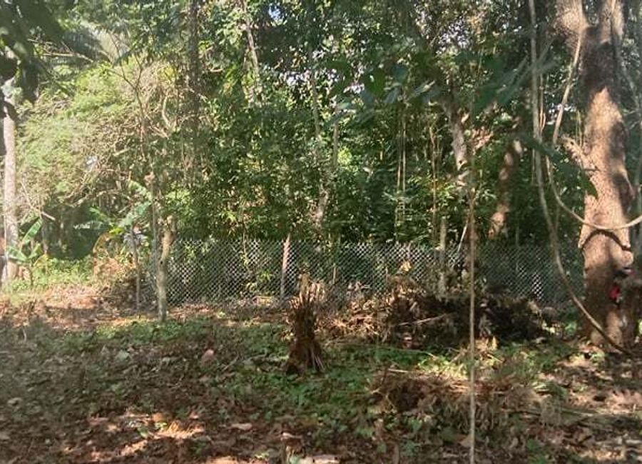 400 Sqm. Residential Lot for Sale in Toril Babak, Island of garden ...