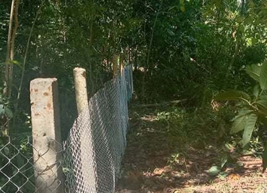 400 Sqm. Residential Lot for Sale in Toril Babak, Island of garden ...