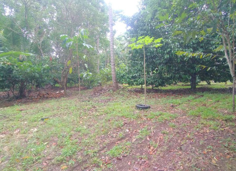 2 Hectares Agricultural Farm lot For Sale in Toril, Davao City | Lamudi ...