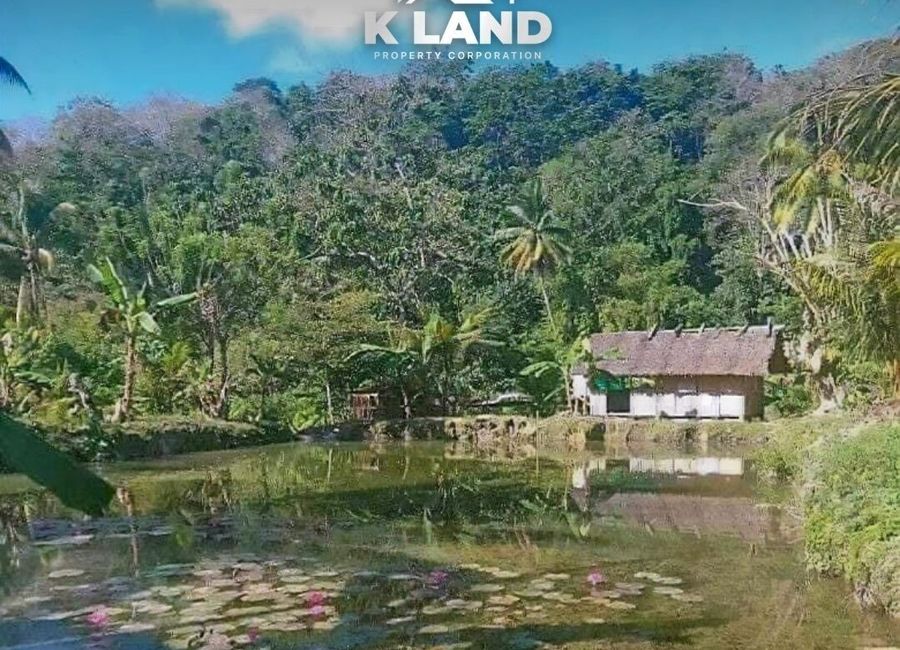 1-Hectare Inland Resort For Sale in Malabog, Davao City, Davao del Sur ...