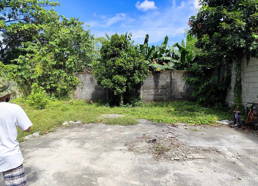 Green Meadow Subdivision Residential Lot 700 sqm in Mabalacat City ...