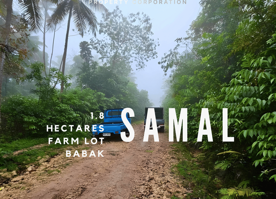 1.8 Hectares Scenic Farm: Rush Sale in Babak, Samal | Lamudi.com.mx