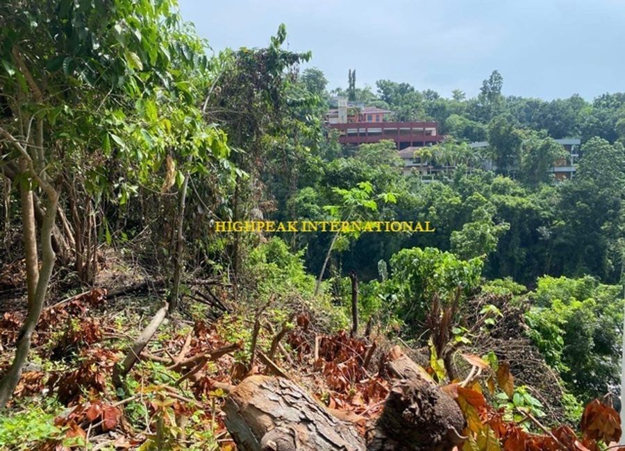 Maria Luisa Upper Phase 8 Lot for Sale with view | Lamudi.com.ph