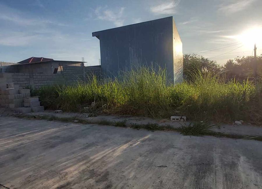 FOR SALE RESIDENTIAL LOTS IN ARROWVILLE PAMPANGA NEAR STA INES ...