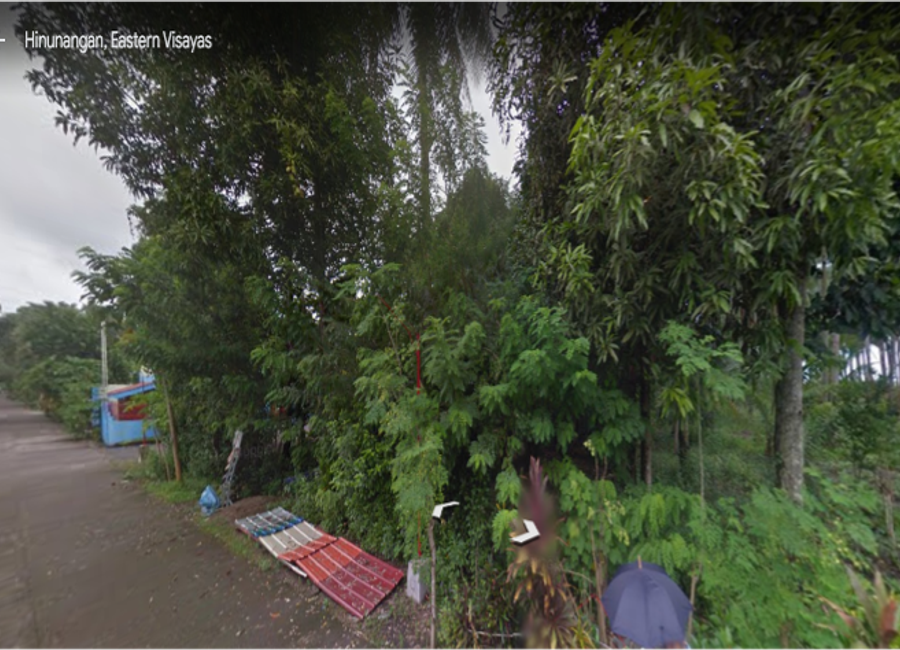 4,508 sqm residential lot in barangay salog, hinunangan, southern leyte | Lamudi.com.ph