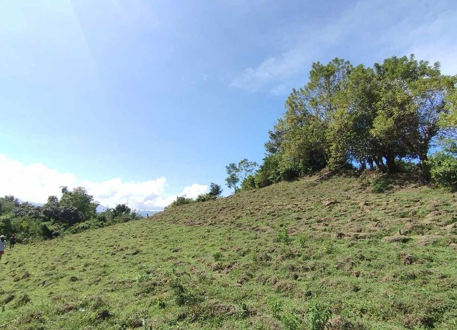 3 Hectares Farm Lot in Guinbanga-An, Laua-an, Antique | Lamudi.com.ph