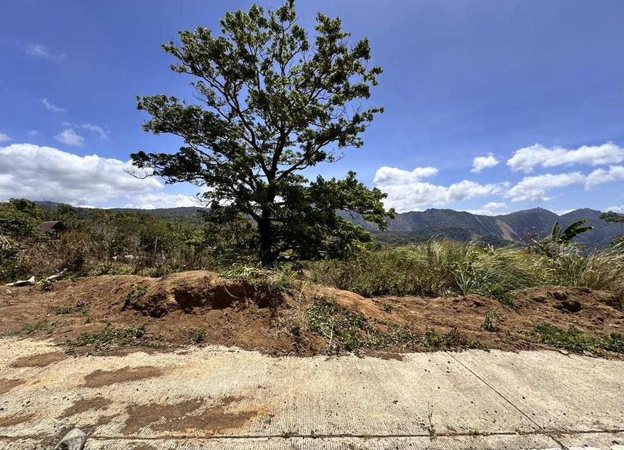 Retirement Investment, Aningalan,San Remigio,Antique | Lamudi.com.ph