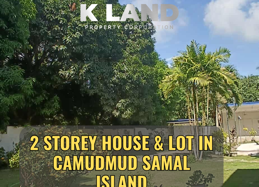 2 STOREY FULLY FURNISHED HOUSE & LOT IN CAMUDMUD SAMAL ISLAND | Lamudi ...