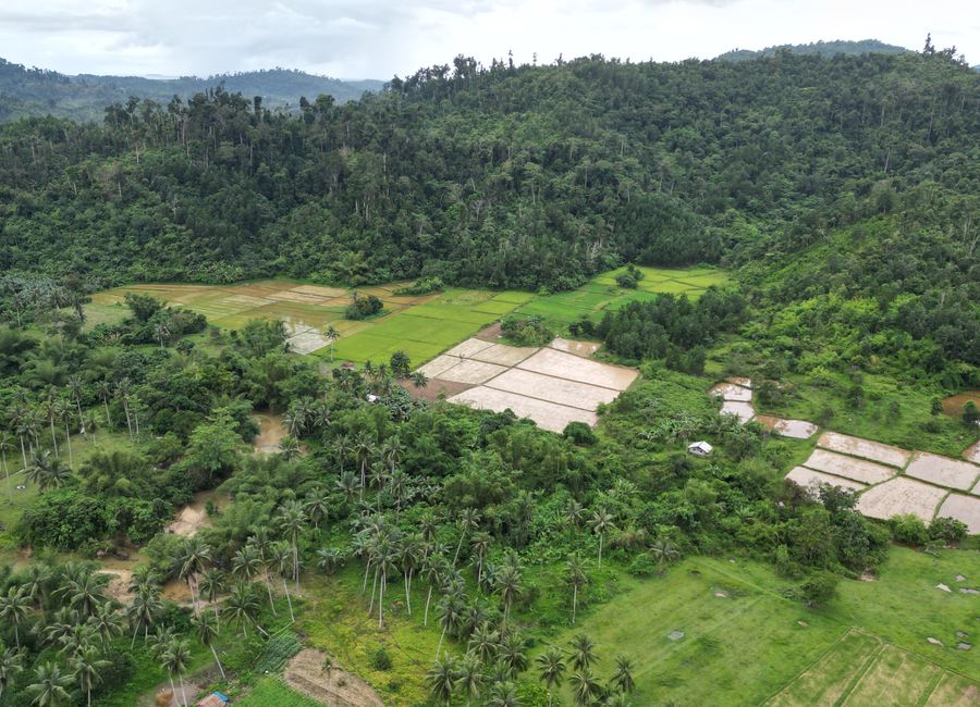 6 Hectare Farm Land in Roxas, Palawan - Ideal for Diverse Agriculture ...