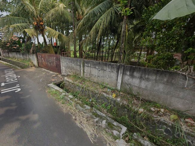 Jual Kebun Jati Platinum 1500 Pohon, 100 Durian Musang King Dekat IPB ...