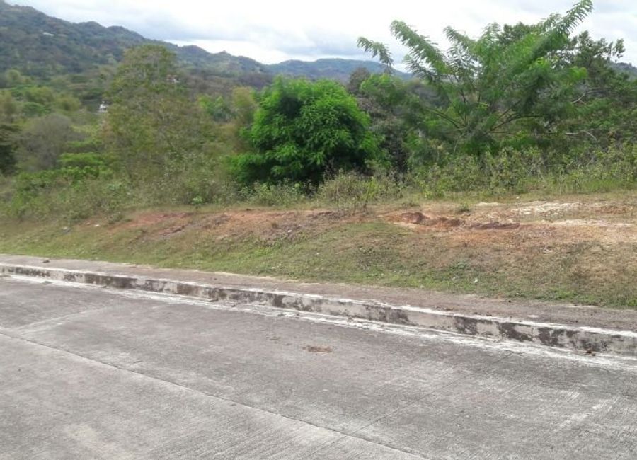 Overlooking 204 Sqm Lot for Sale near Talamban Cebu City with Mountain ...