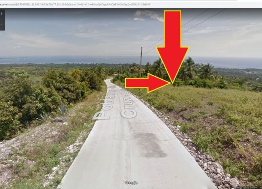 SEA VIEW LOT 300sqm. AT 750,000 PESOS ATABAY ALCOY CEBU PHILIPPINES ...