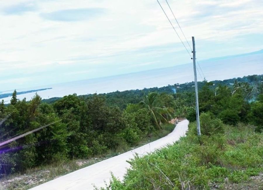 SEA VIEW LOT 200sqm. AT 799,000 PESOS ATABAY ALCOY CEBU PHILIPPINES ...