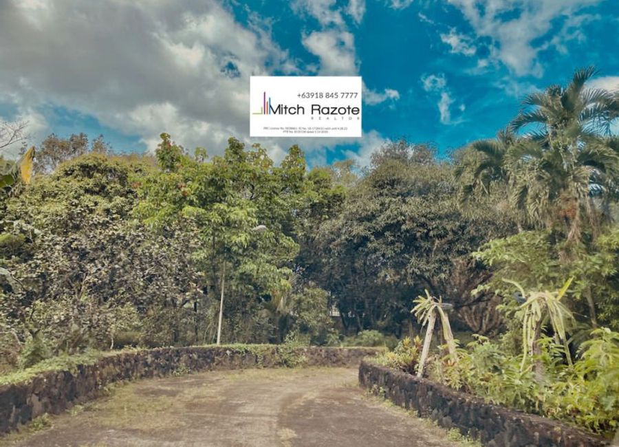 3-Hectare Farm With 7 Bedroom House and Swimming Pool For Sale in Lipa ...