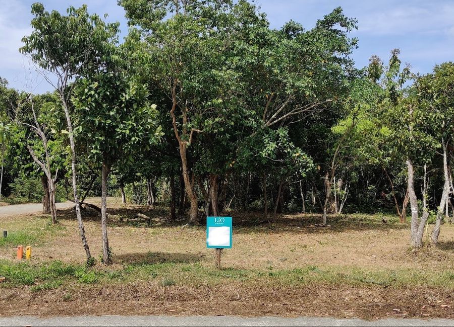 Single Loaded Lot near the Beach EL NIDO | Lamudi.com.ph