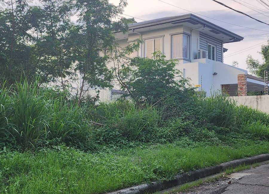 UNITED PARANAQUE SUBDIVISION 4 LOT FOR SALE PARANAQUE CITY | Lamudi.com.ph
