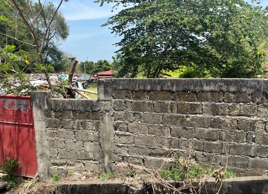 PRIME PROPERTY ALONG BUCAL BYPASS ROAD IN CALAMBA LAGUNA | Lamudi.com.ph