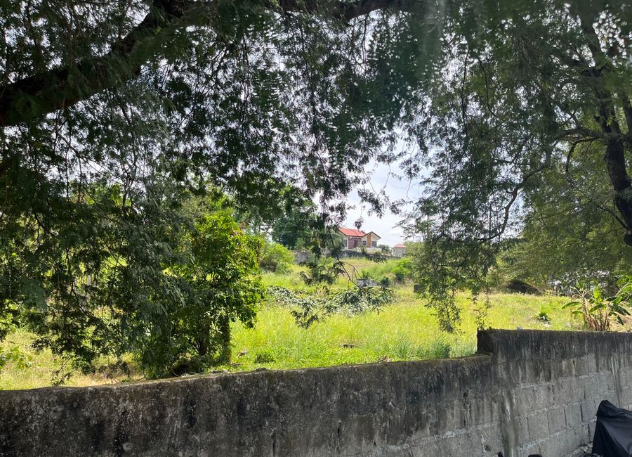 PRIME PROPERTY ALONG BUCAL BYPASS ROAD IN CALAMBA LAGUNA | Lamudi.com.ph