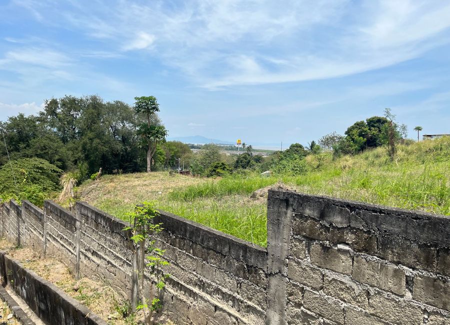 PRIME PROPERTY ALONG BUCAL BYPASS ROAD IN CALAMBA LAGUNA | Lamudi.com.ph