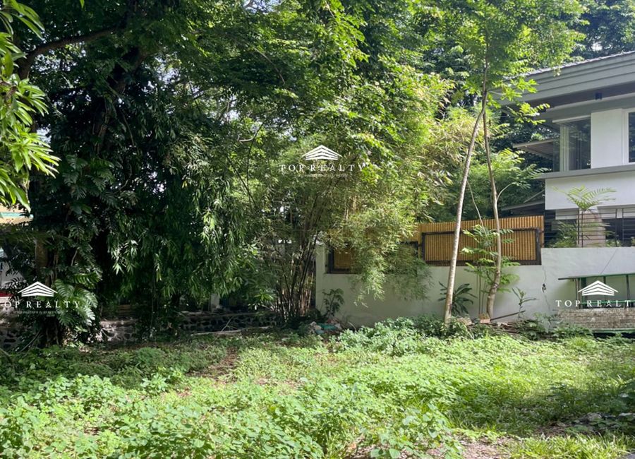 475/sqm Lot for Sale in Muntinlupa City, Metro Manila at Ayala Alabang Village | Lamudi.com.ph