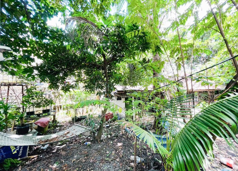 Maligaya Subdivision | Residential Lot For Sale - #7492 | Lamudi.com.ph