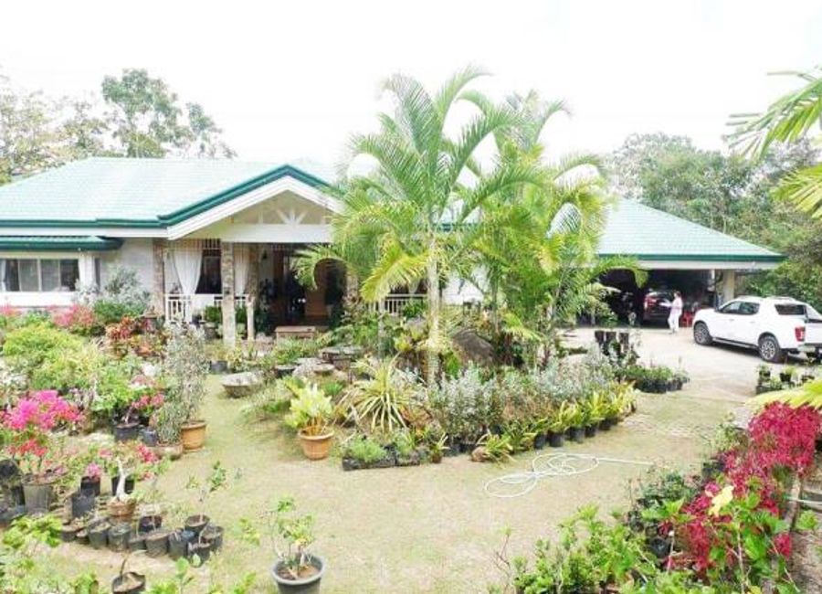 Resale Stunning 4 Bedrooms Farm House in Countryside Near Sirao Garden ...
