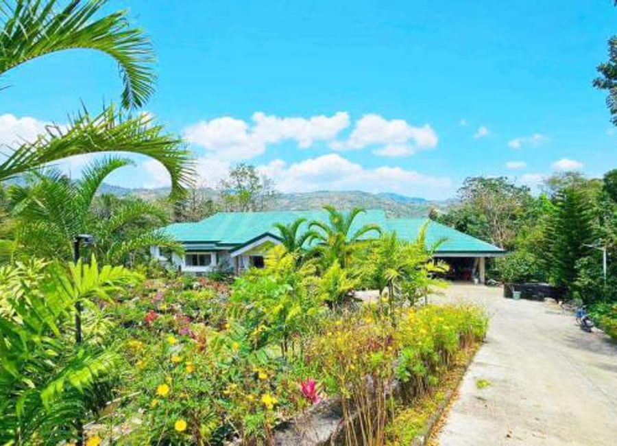 Resale Stunning 4 Bedrooms Farm House in Countryside Near Sirao Garden ...