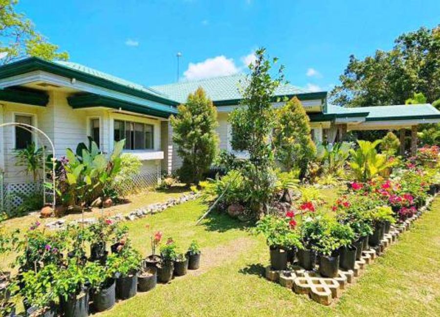 Resale Stunning 4 Bedrooms Farm House in Countryside Near Sirao Garden ...