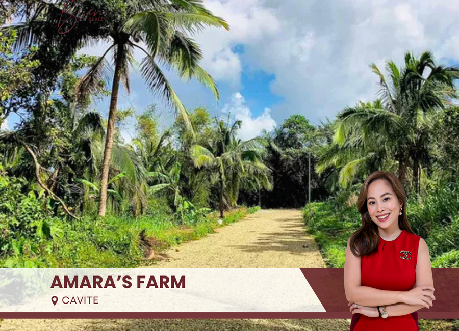 Agricultural Lots for Sale in Amara’s Farm, Cavite | 1000 sqm and Near Tagaytay | Lamudi.com.ph