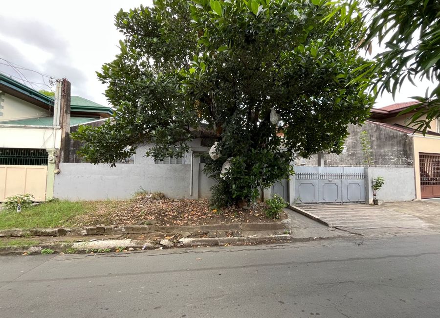 Old house for sale in Merville Park, Paranaque | Lamudi.com.ph