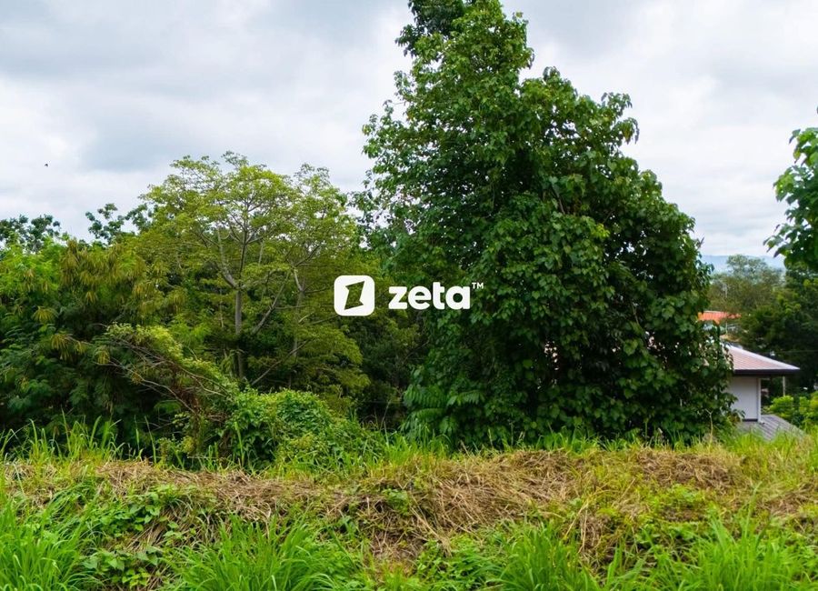 Prime Lot in Xavier Estates, CDO! | Lamudi.com.ph