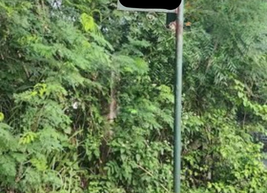 FOR SALE - Residential Vacant Lot in Marcelo Green, Parañaque City ...