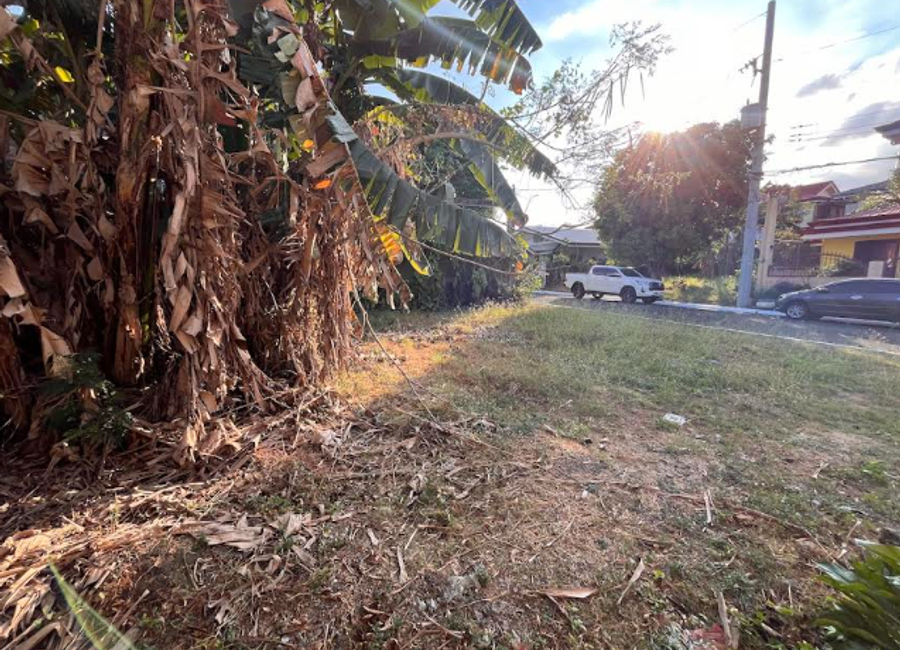 Residential Lot for Sale in Gemblock, Marcelo Green Village, Paranaque ...