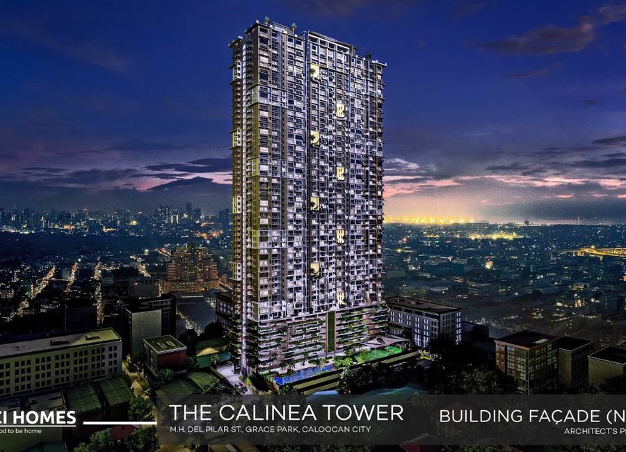 The Calinea Tower | 2BR | 57.5sqm | DMCI Homes by Claire Yin | Lamudi ...