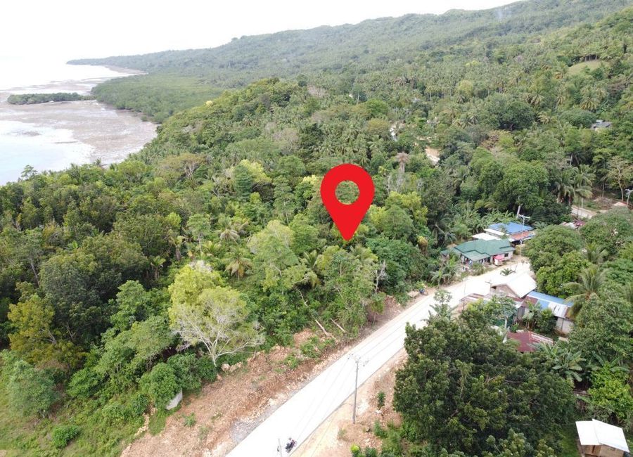 🏝️ 5,160 sqm Prime Overlooking Lot for Sale in San Francisco, Camotes ...
