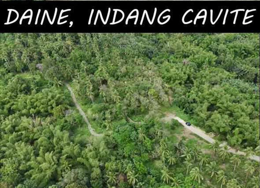 Indang Cavite Pre-Selling Farm Lot | Lamudi.com.ph