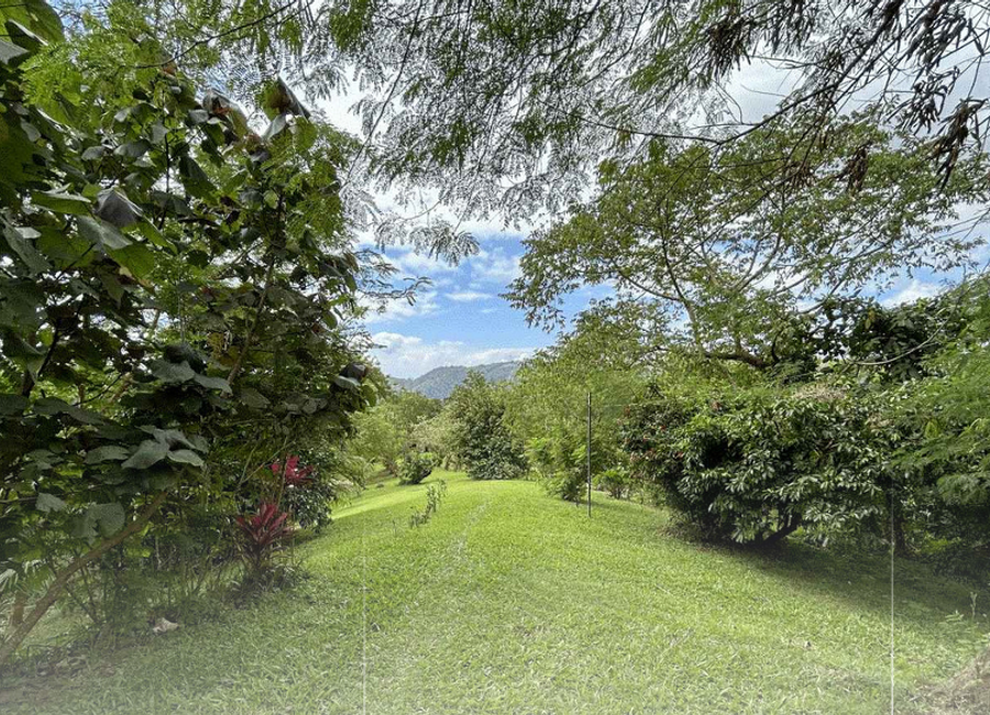 Tagaytay Overlooking Lot for Sale | Lamudi.com.ph