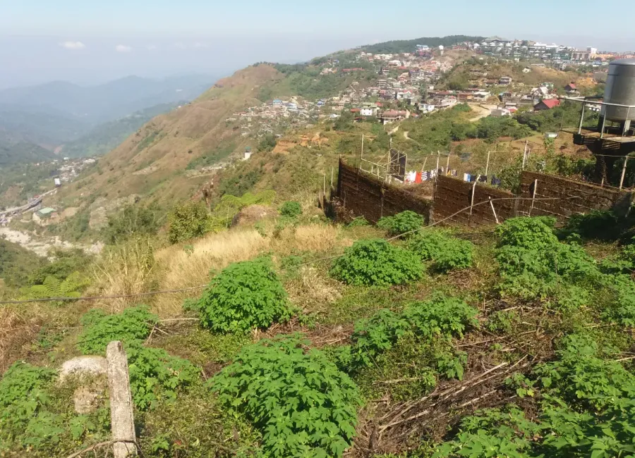 Lot For Sale in Tuba Municipality, Baguio | Lamudi.com.ph